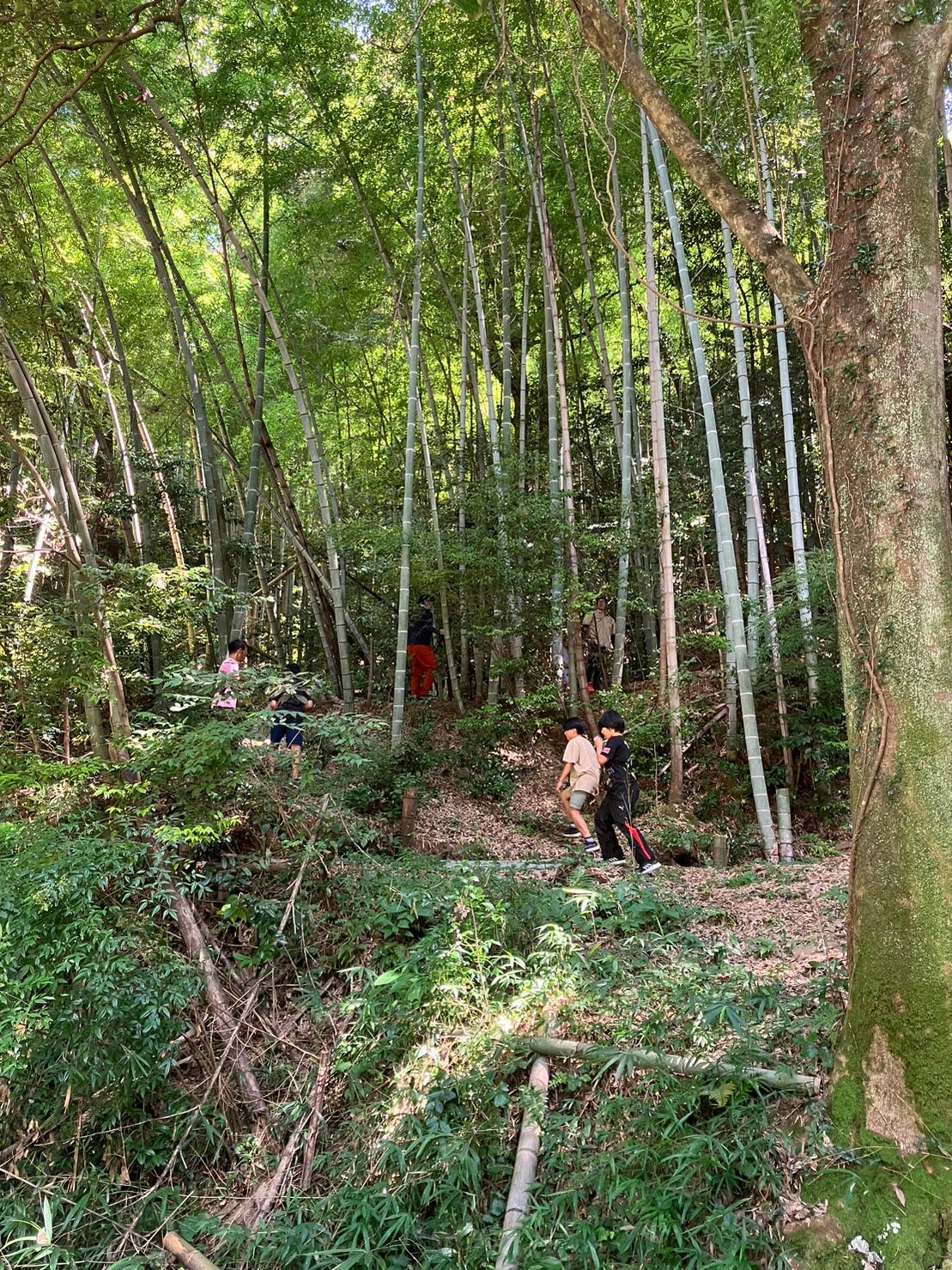 新作アップ！ がってんだin岐阜県本巣市！ – KPPK｜愛知のリフォーム/リノベーション/DIY支援/講演会